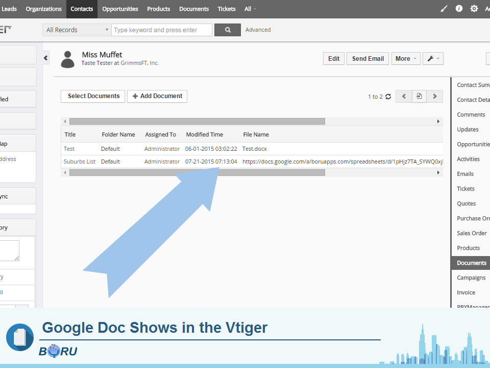 Vtiger Google Drive Integration - Boru Inc.